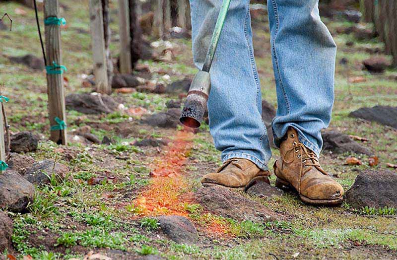 Dependable Propane Supplier For Farming & Agriculture | Ferrellgas